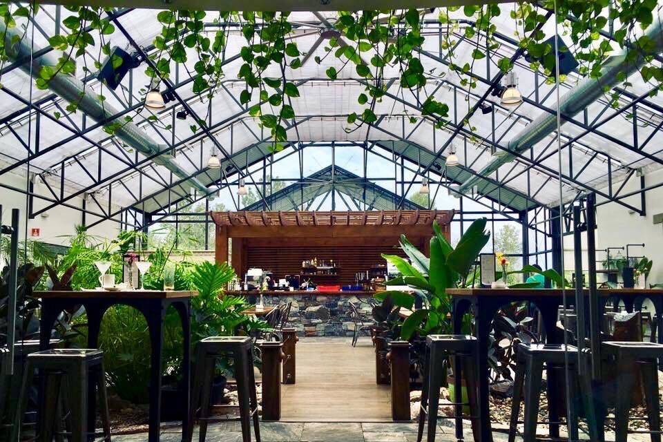 Aquatopia Water Garden Conservatory - Venue - Ottawa - Weddingwire.ca